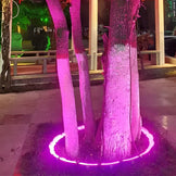 Outdoor Tree Lighting with Low Voltage, Waterproof Arc Spots – Flyachilles