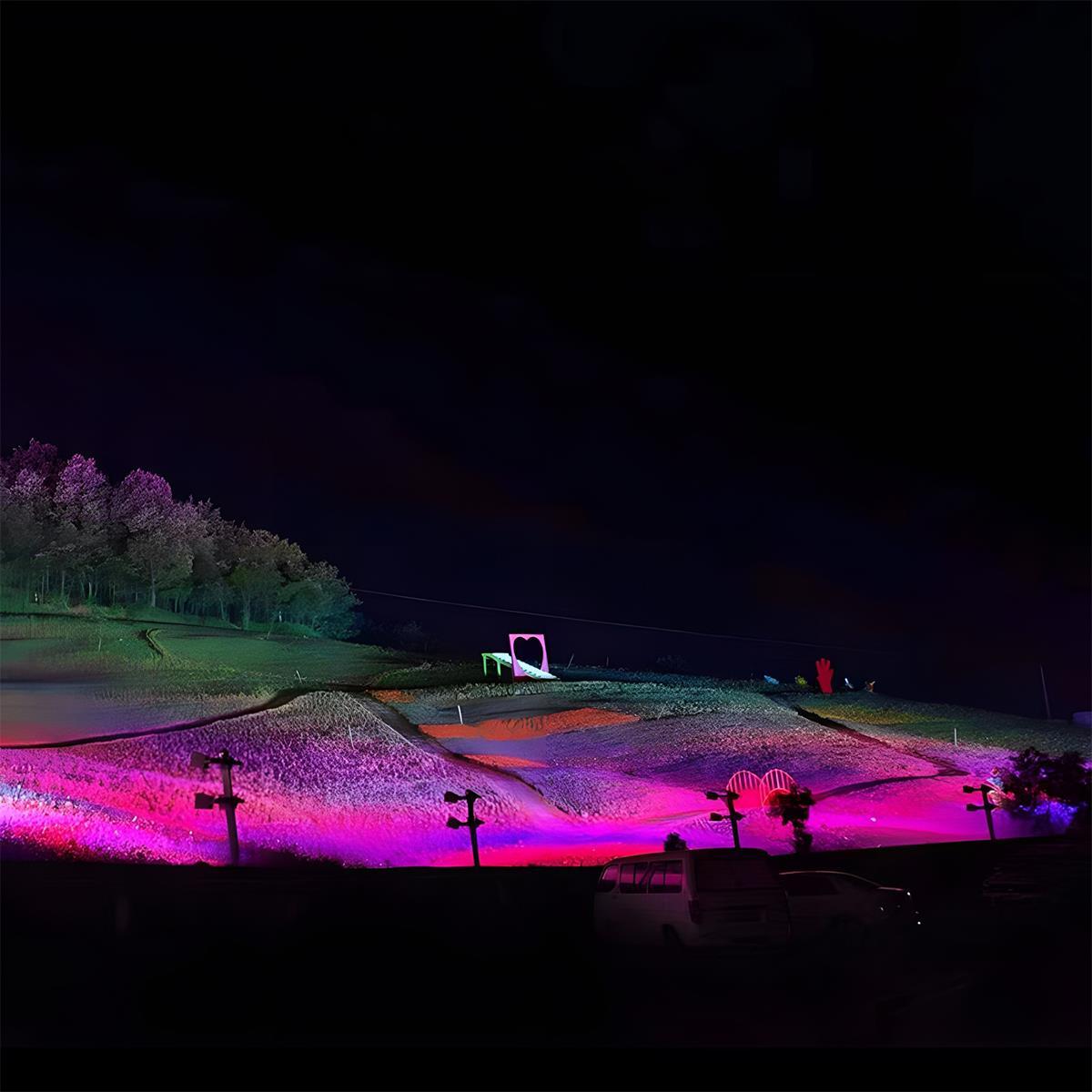 Outdoor Modern Waterproof RGB Rainbow LED Spot Light Landscape Tree ...