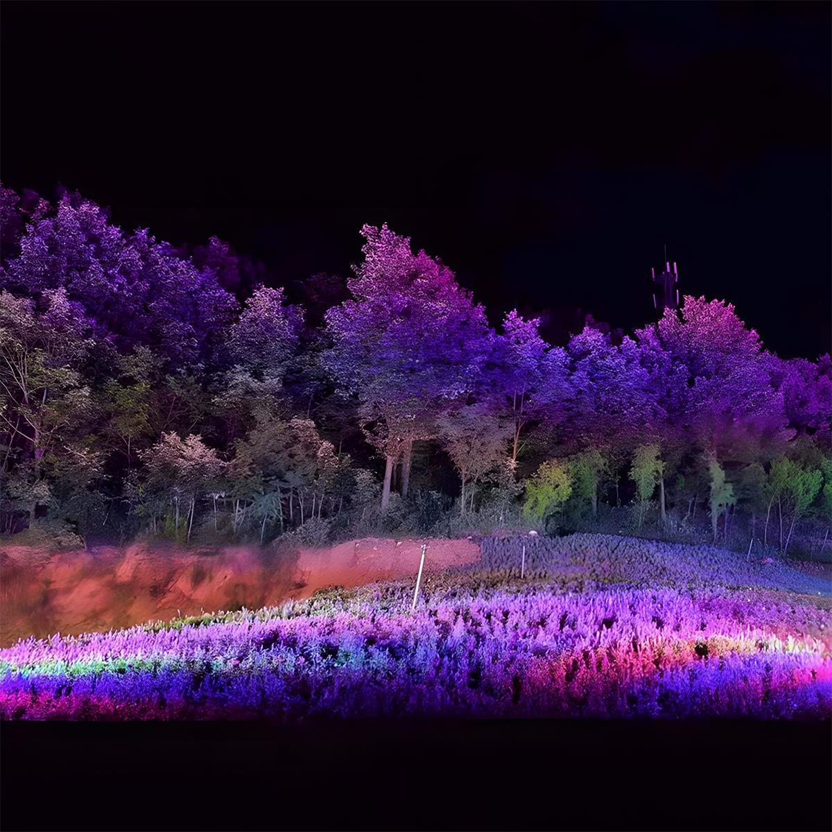 Outdoor Modern Waterproof RGB Rainbow LED Spot Light Landscape Tree ...