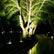 Round Waterproof Outdoor LED Spot Tree Lights Building Exterior Light ...