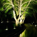 Round Waterproof Outdoor LED Spot Tree Lights Building Exterior Light ...