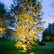 Round Waterproof Outdoor LED Spot Tree Lights Building Exterior Light ...