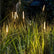 Waterproof Solar Reed-Shaped Lawn Lights LED Stick Ground Landscape ...