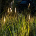 Waterproof Solar Reed-Shaped Lawn Lights LED Stick Ground Landscape ...